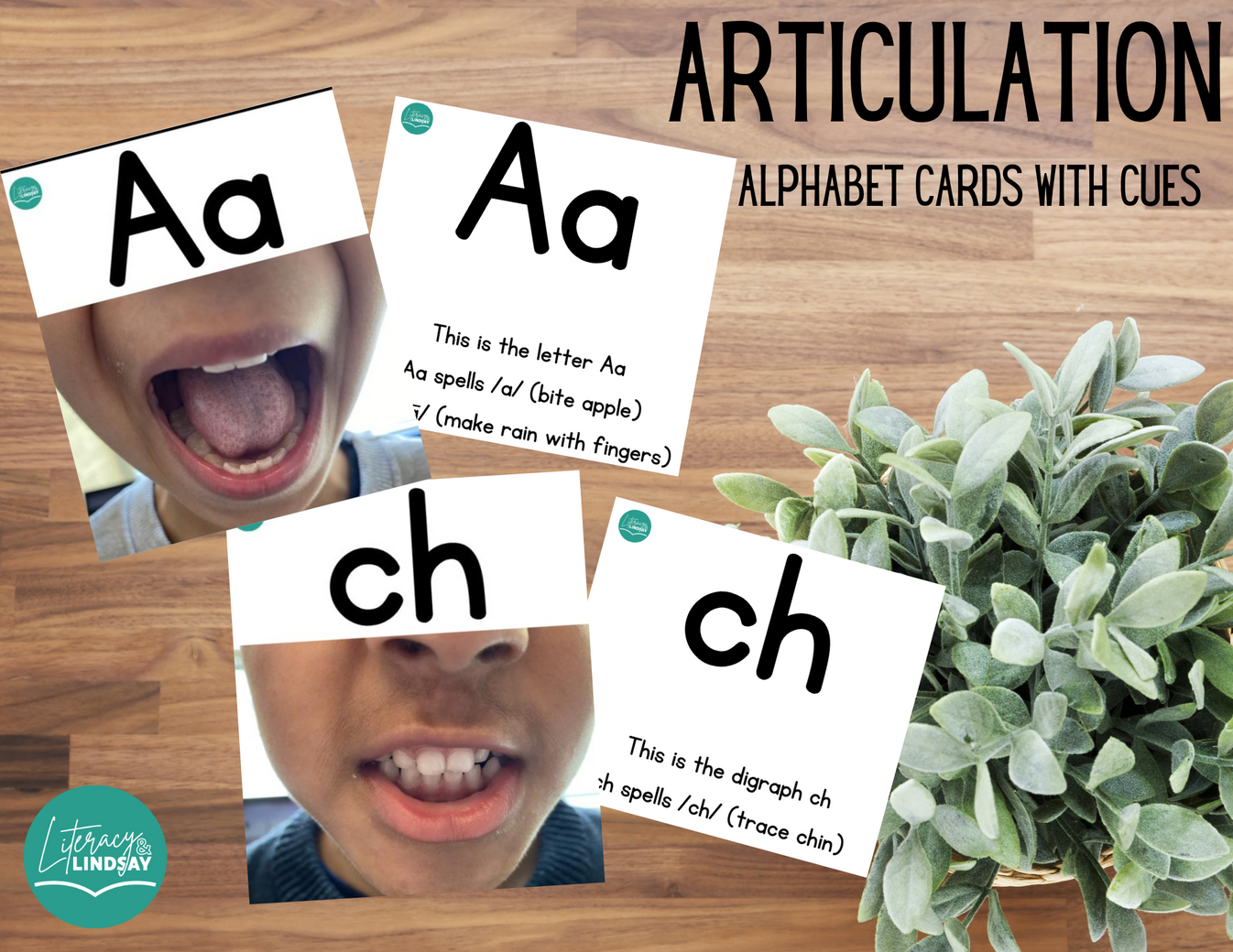 Mouth Articulation Flash Cards & 3 INSTRUCTIONAL VIDEOS – Literacy and ...