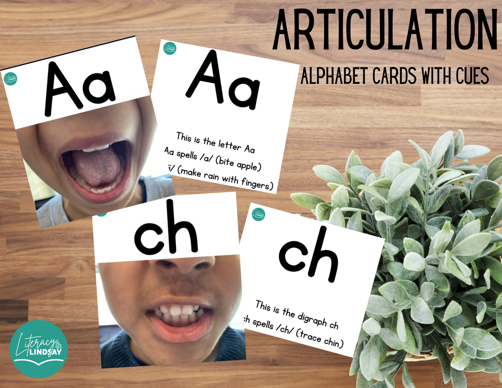 Mouth Articulation Flash Cards & 3 INSTRUCTIONAL VIDEOS – Literacy and ...