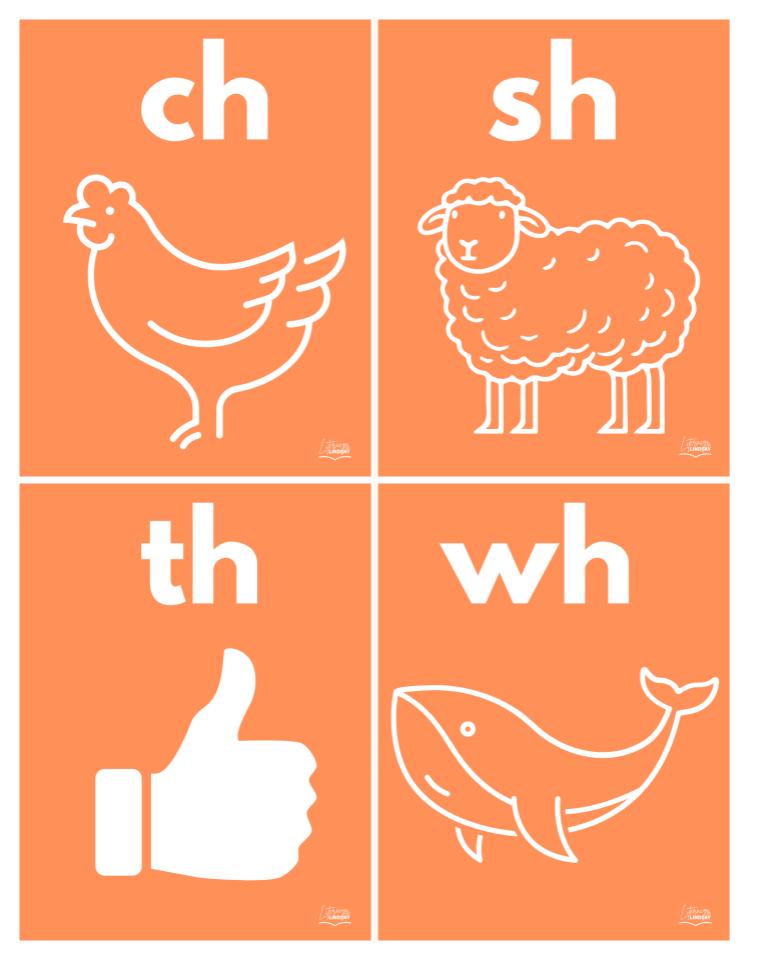 Phonics Cards- Sound it Out Wall – Literacy and Lindsay