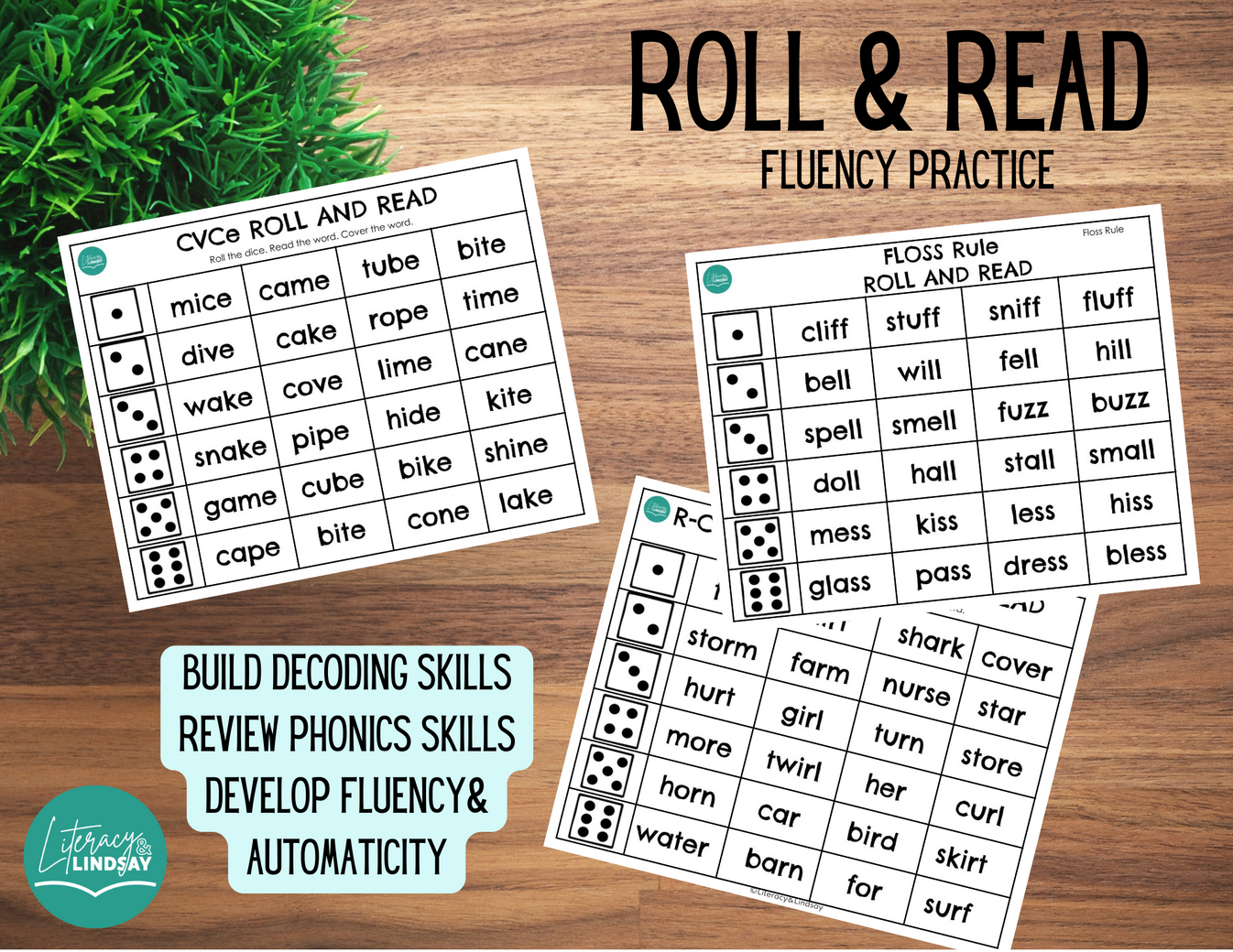 Blending Lines and Roll & Read Set – Literacy and Lindsay